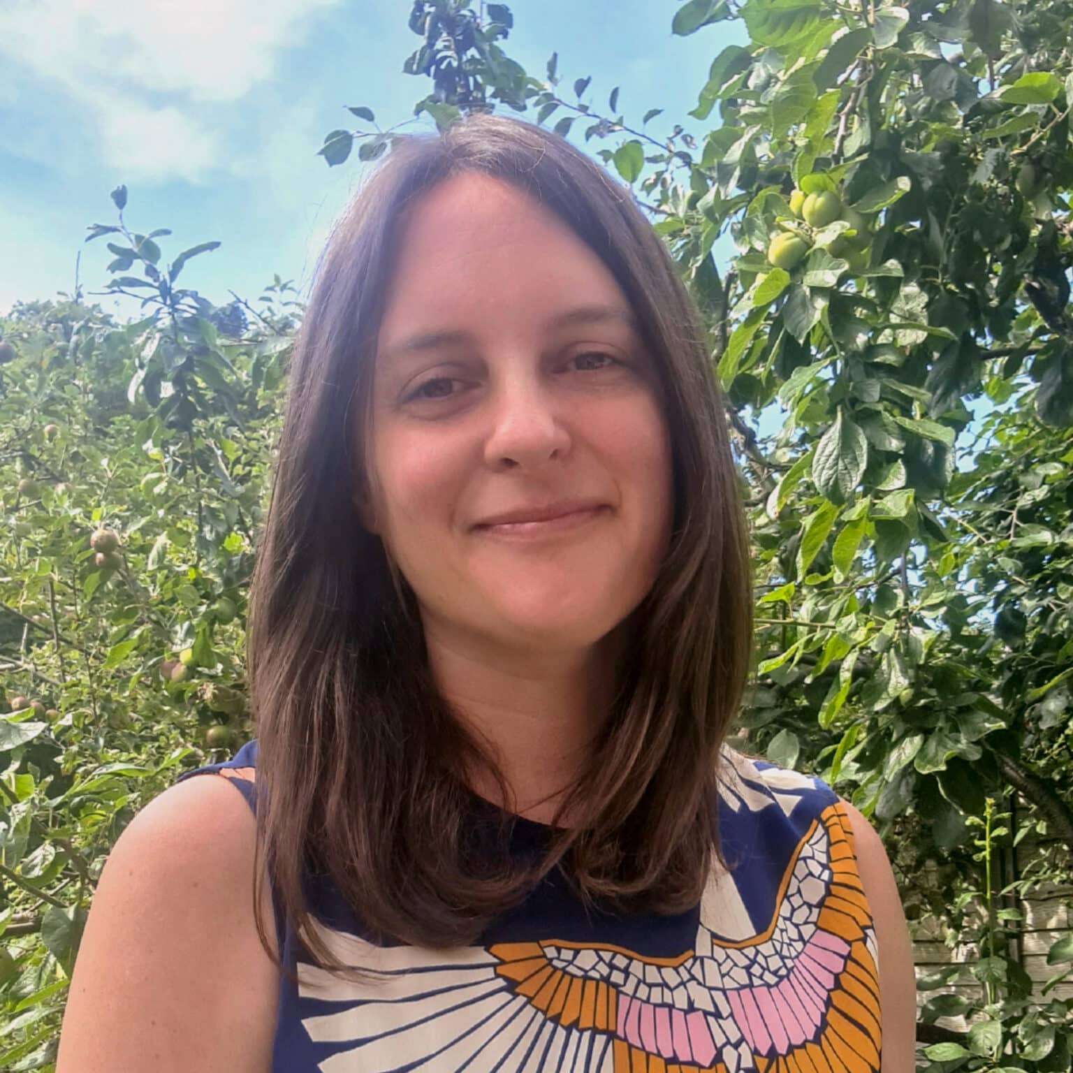 Organising Committee - WCP2026