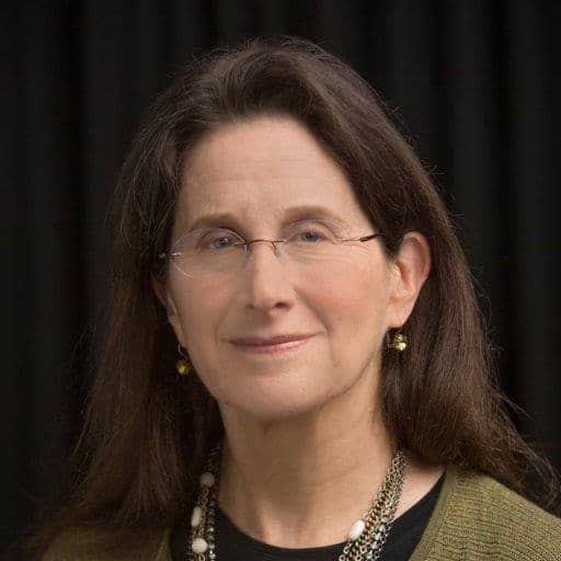 Organising Committee - WCP2026