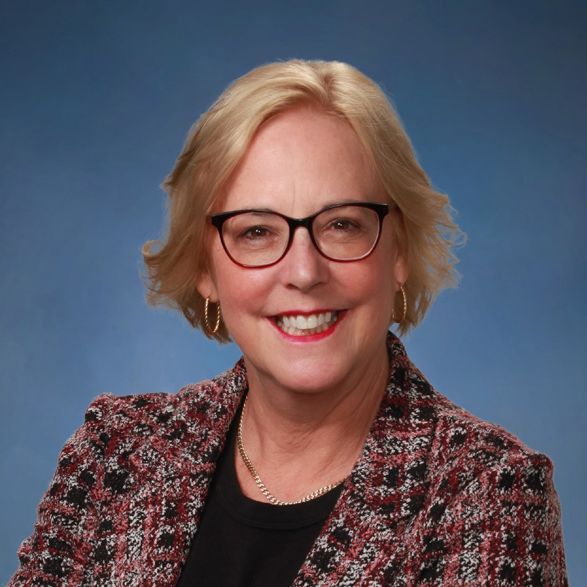 Organising Committee - WCP2026